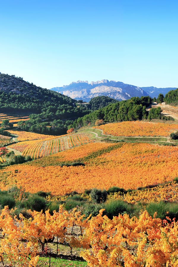 explore provence in october - Provence Holidays